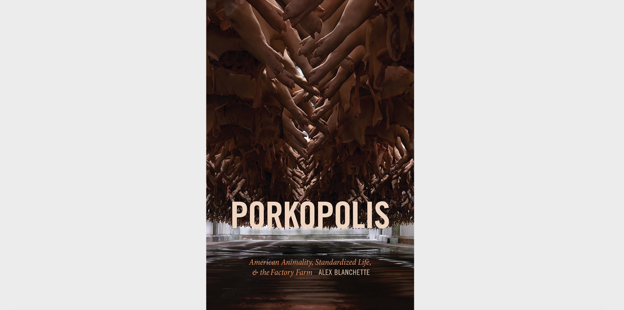 On Alex Blanchette’s Porkopolis: American Animality, Standardized Life ...