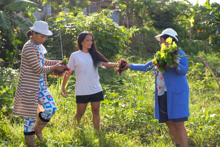 Urban and Rural Women at the Forefront of Reclaiming Their Land ...