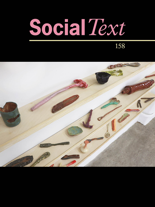 Journal Archive – Social Text